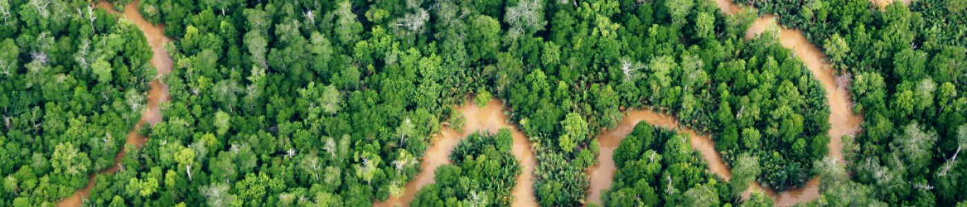 Yayasan Konservasi Alam Nusantara (@YKAN) · Karyakarsa