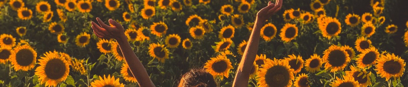 Sunny Funny (@Sunny031194) · Karyakarsa