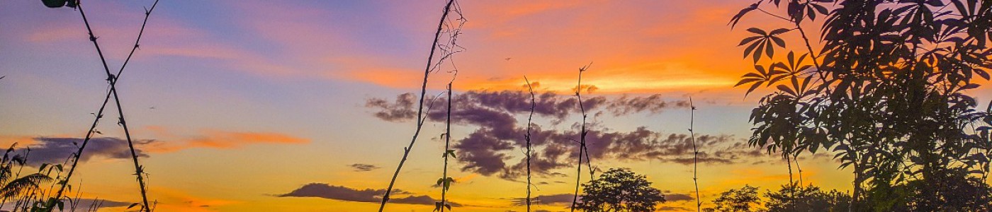 Muhammad Rafli Yanuar Revikasyah (@murayare3101) · Karyakarsa