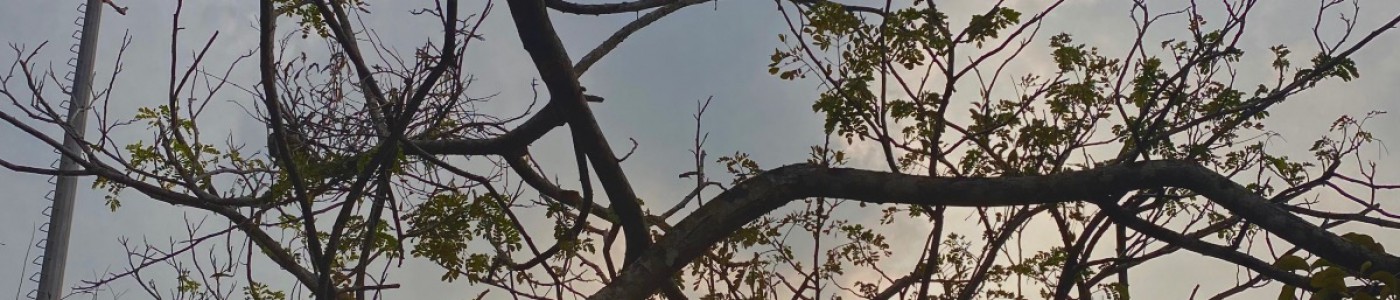 M Bimantara Pm (@Penguasaudara) · Karyakarsa