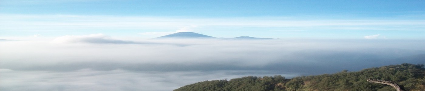 Julie Pujo Sumarto (@Juliepujosumarto) · Karyakarsa