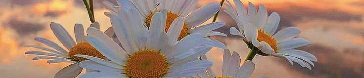 Payaw (@eipayow) · Karyakarsa