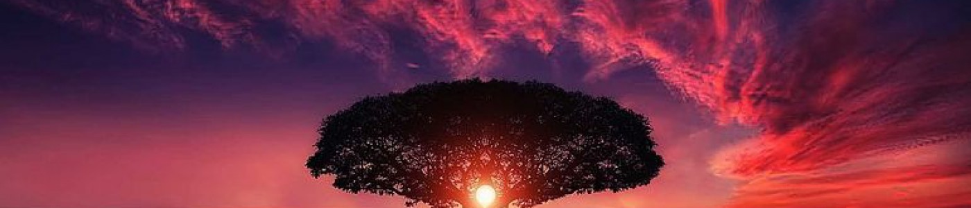 Ikanaa (@Ikanaaa) · Karyakarsa