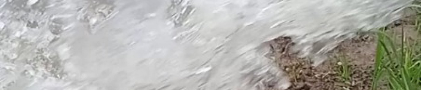 Agus Suwarno (@Agus669) · Karyakarsa