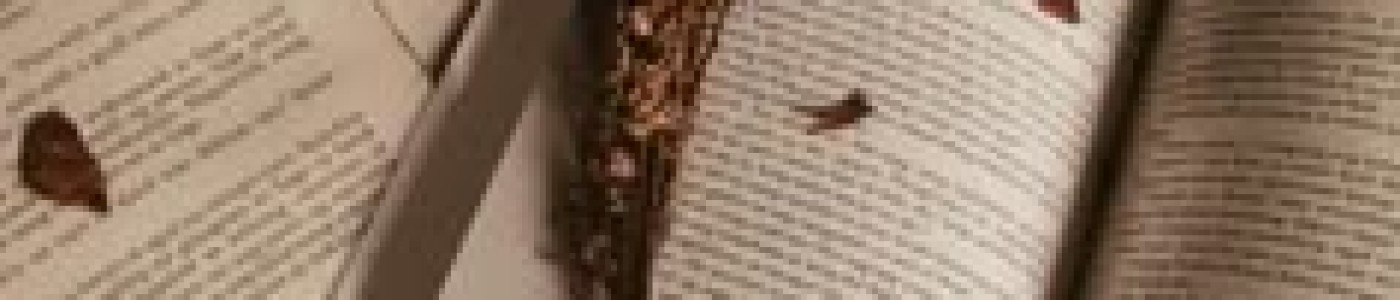 Kharida Wida (@ridaaa223) · Karyakarsa